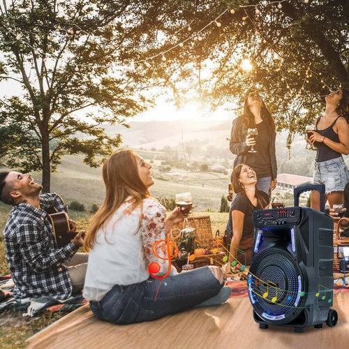 Portable Bluetooth Speaker 15" Woofer Wireless Heavy Bass Sound System ...